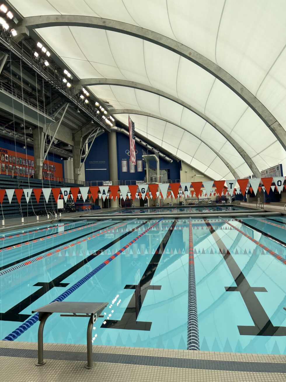 Florida Gator Splash Club – A 501(c)(3) Supporting the University of ...